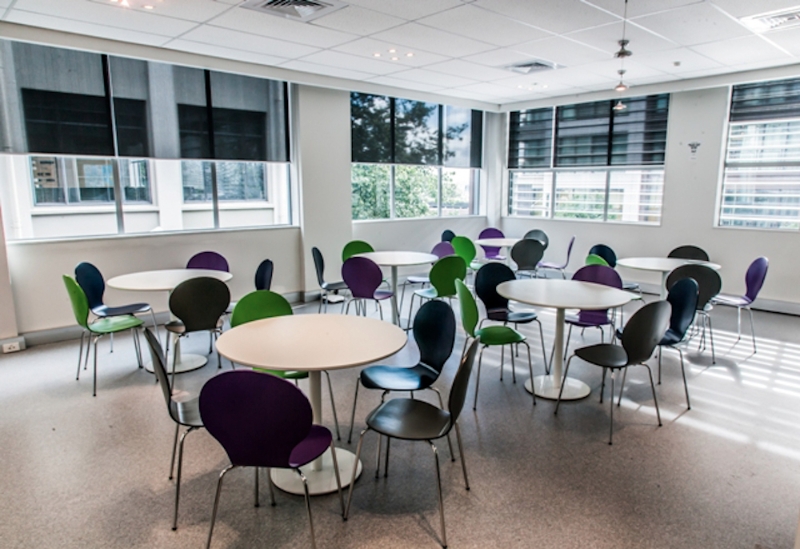 Language School Programme